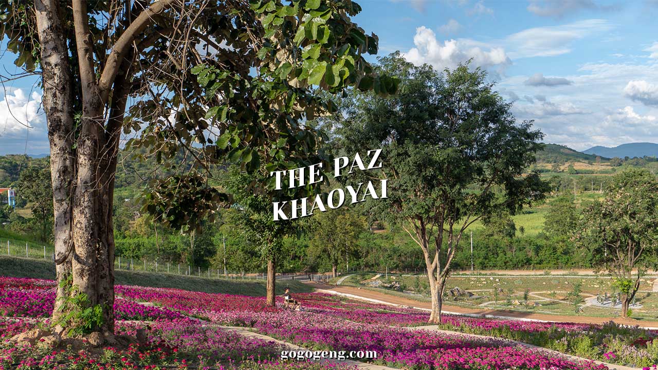 รีวิว The Paz Khao Yai ที่พักเขาใหญ่ สุขใจกับทุ่งดอกไม้ - GOGOGENG